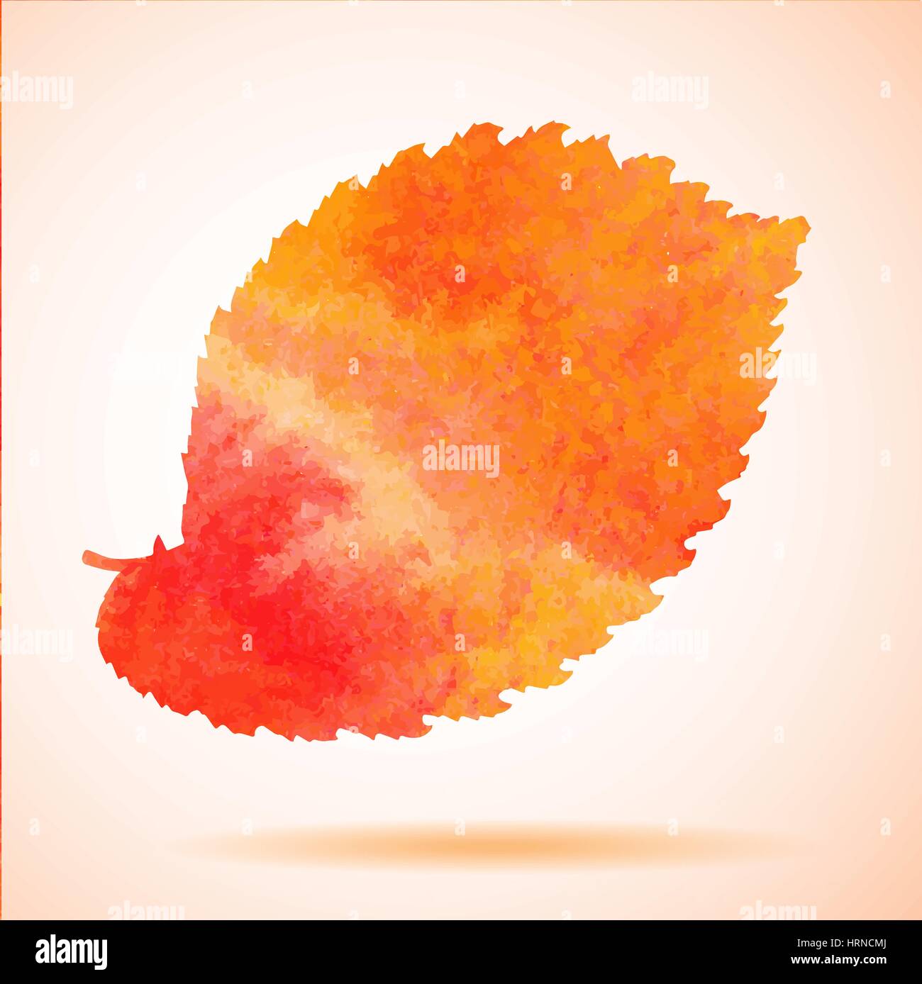 Orange watercolor painted vector elm tree leaf Stock Vector Image & Art ...