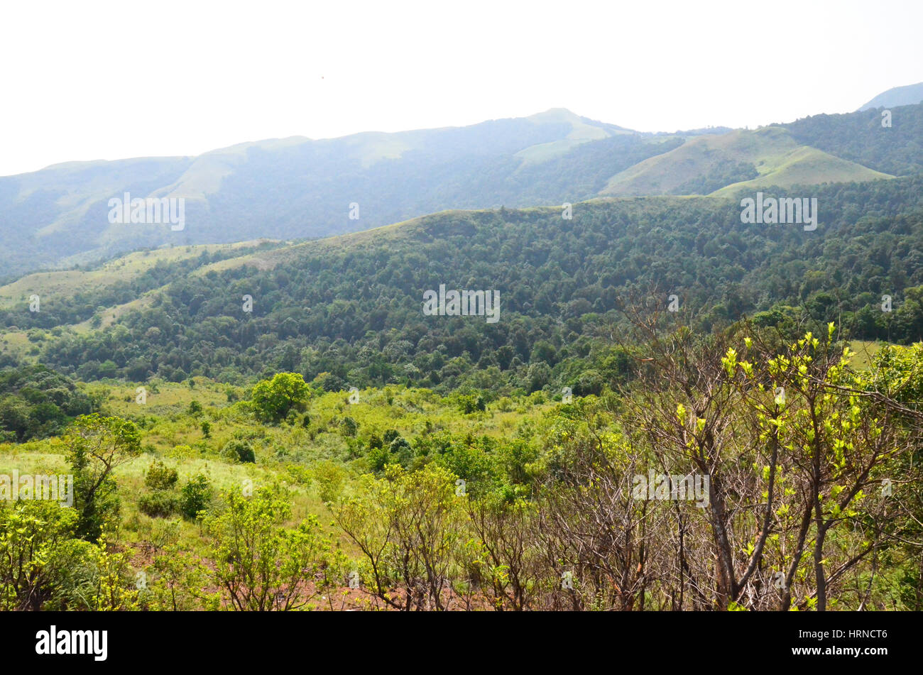 Scenic beauty of Kuduremikh range of mountains in Mangalore, Karnataka ...