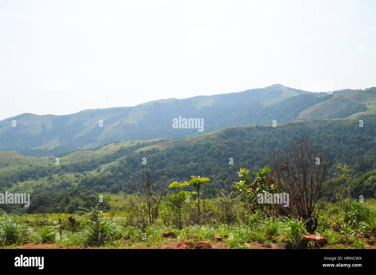 Scenic beauty of Kuduremikh range of mountains in Mangalore, Karnataka ...