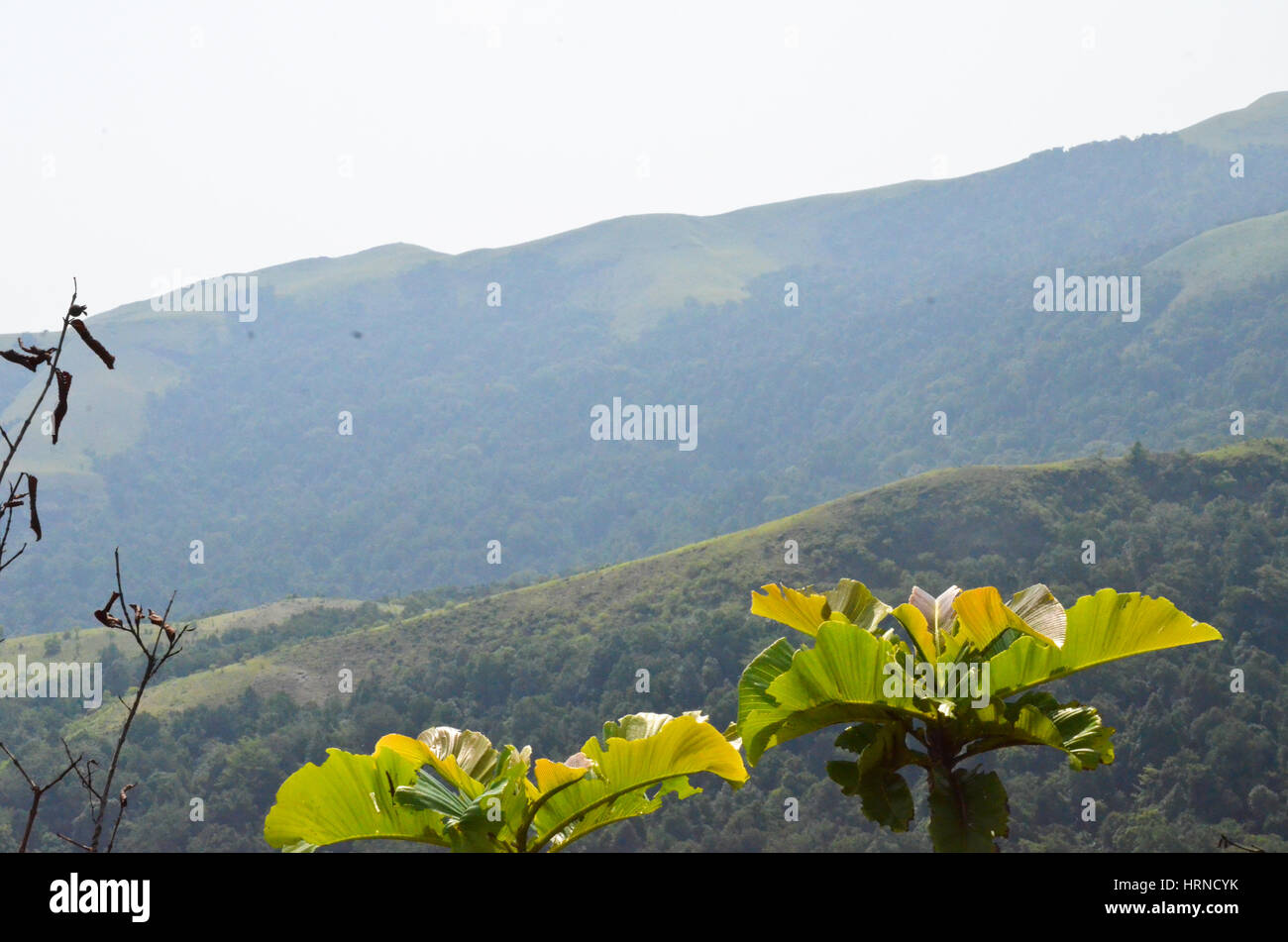 Scenic beauty of Kuduremikh range of mountains in Mangalore, Karnataka ...