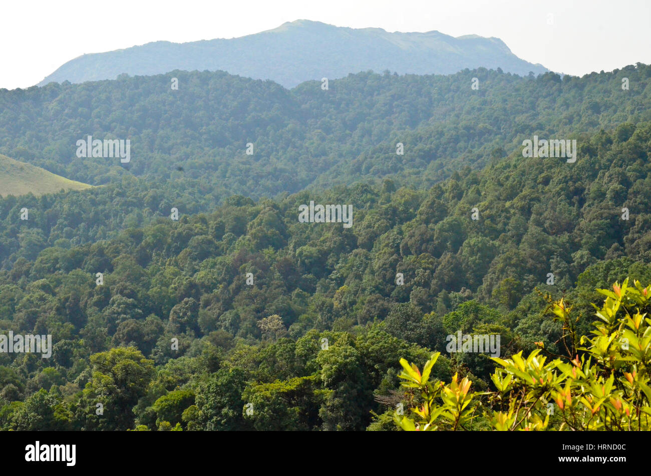 Scenic beauty of Kuduremikh range of mountains in Mangalore, Karnataka ...