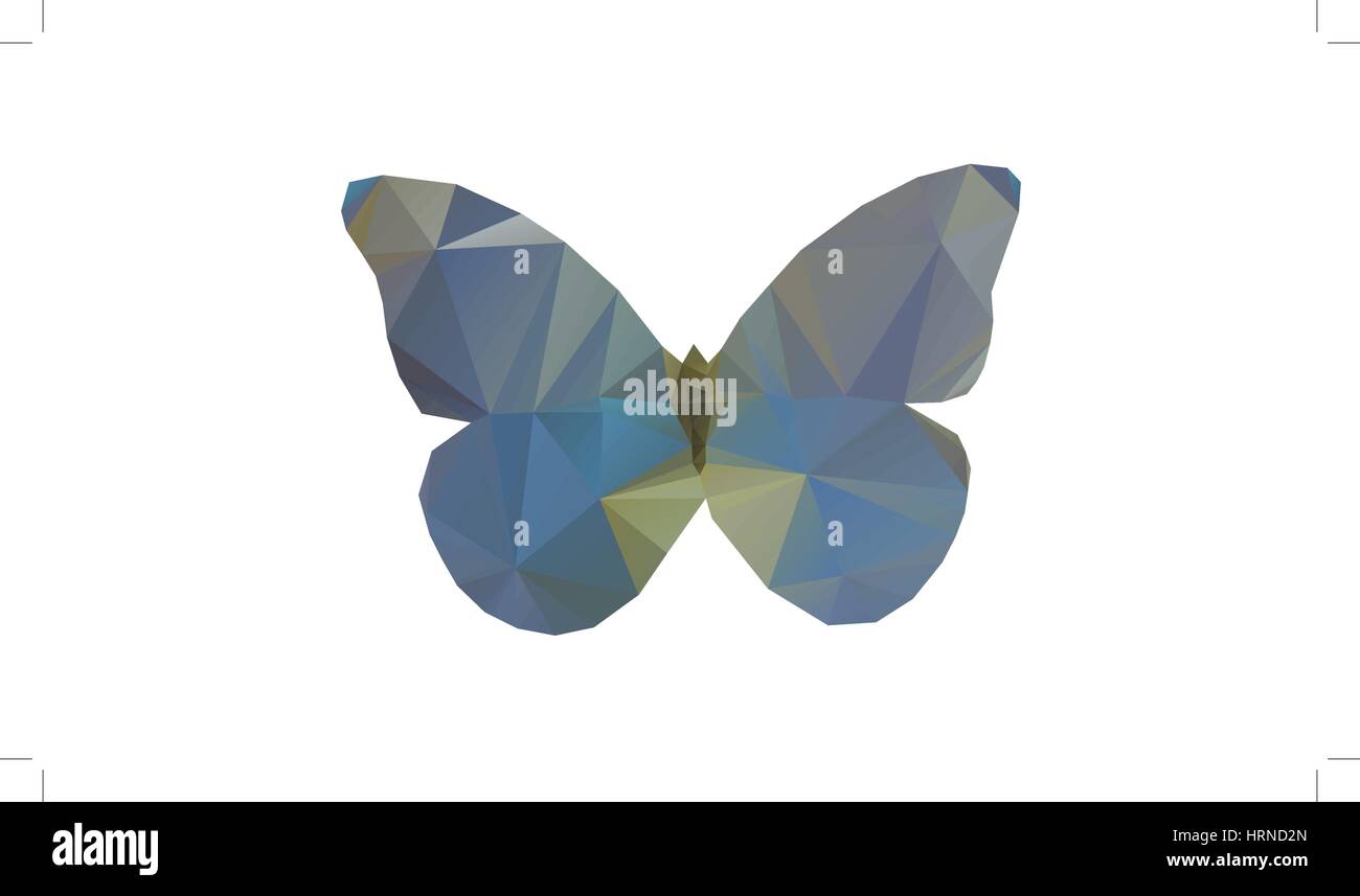 Blue green triangle butterfly hi-res stock photography and images - Alamy