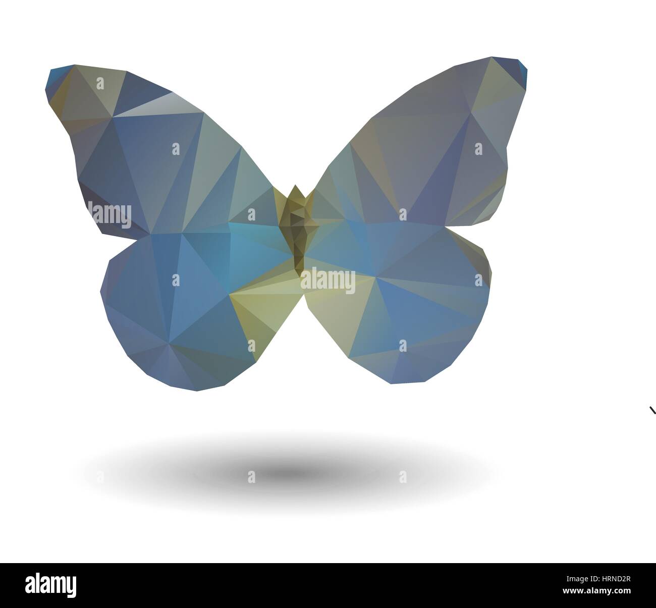 Blue green triangle butterfly hi-res stock photography and images - Alamy