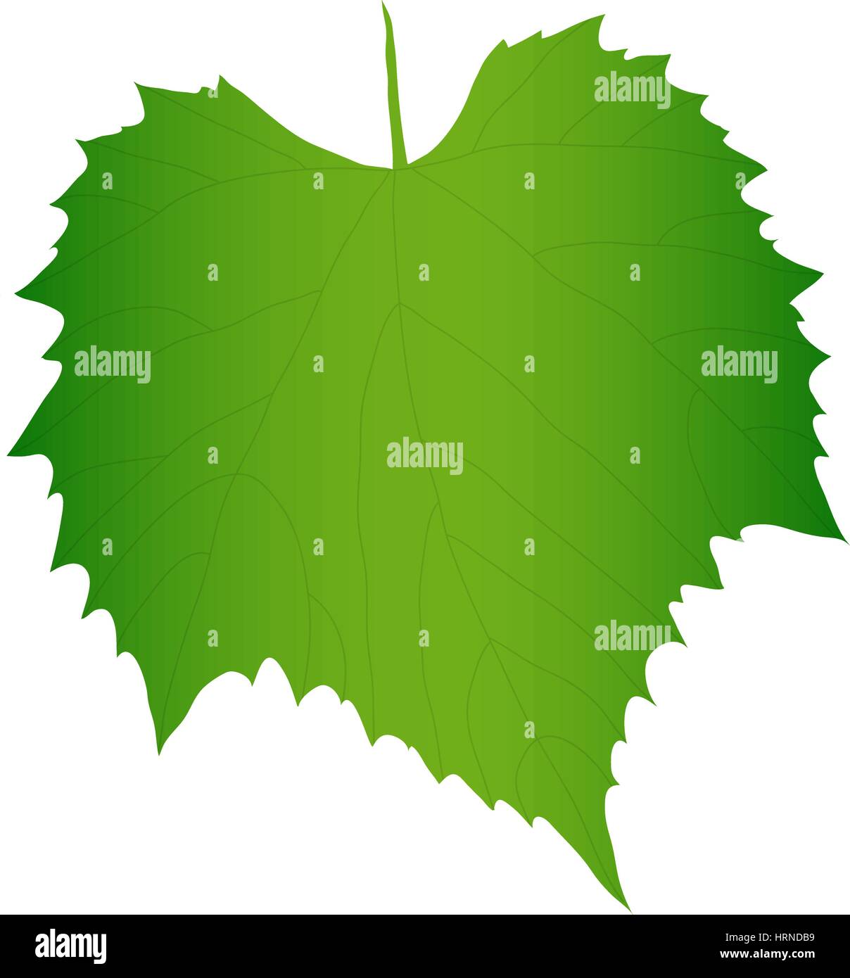 Eco grape Stock Vector Images - Alamy