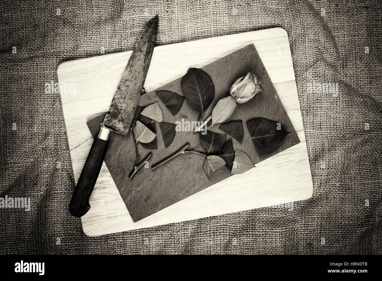 Single rose cut up on piece of slate Stock Photo - Alamy