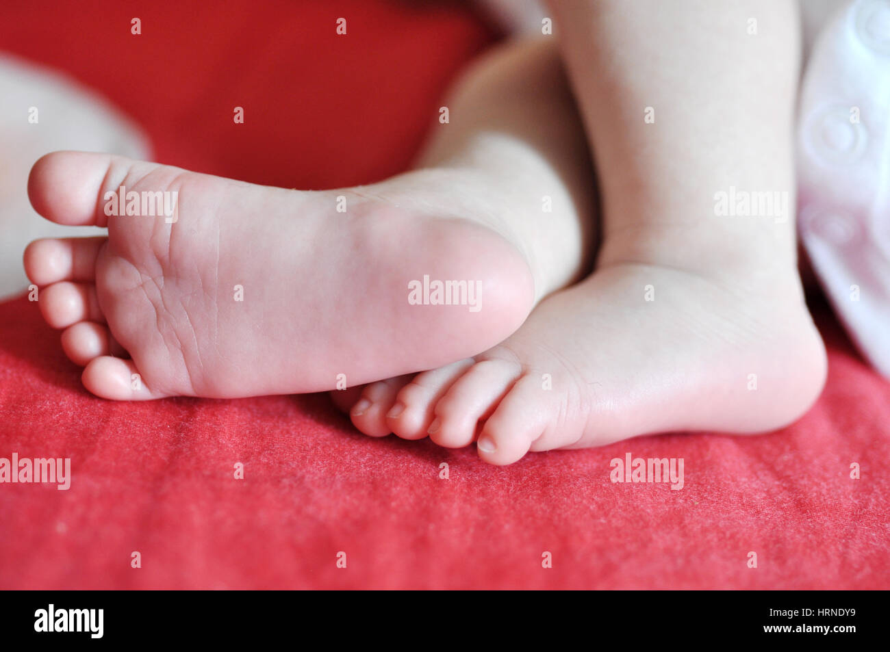 Small feet of a newborn baby Stock Photo - Alamy