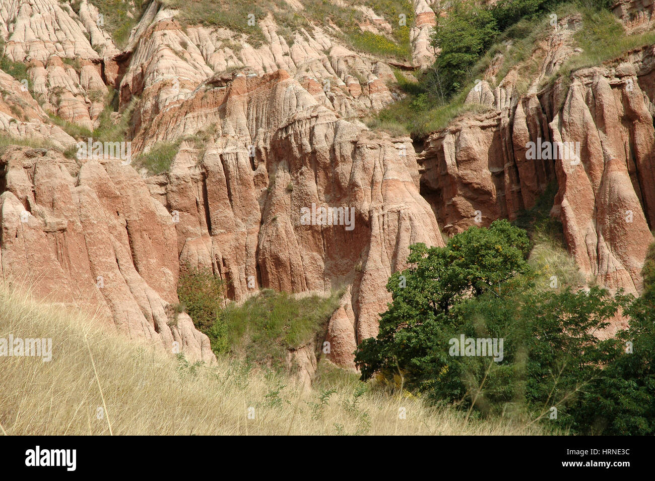 Geological reserve. The ravine of Rapa Rosie, Romania Stock Photo - Alamy