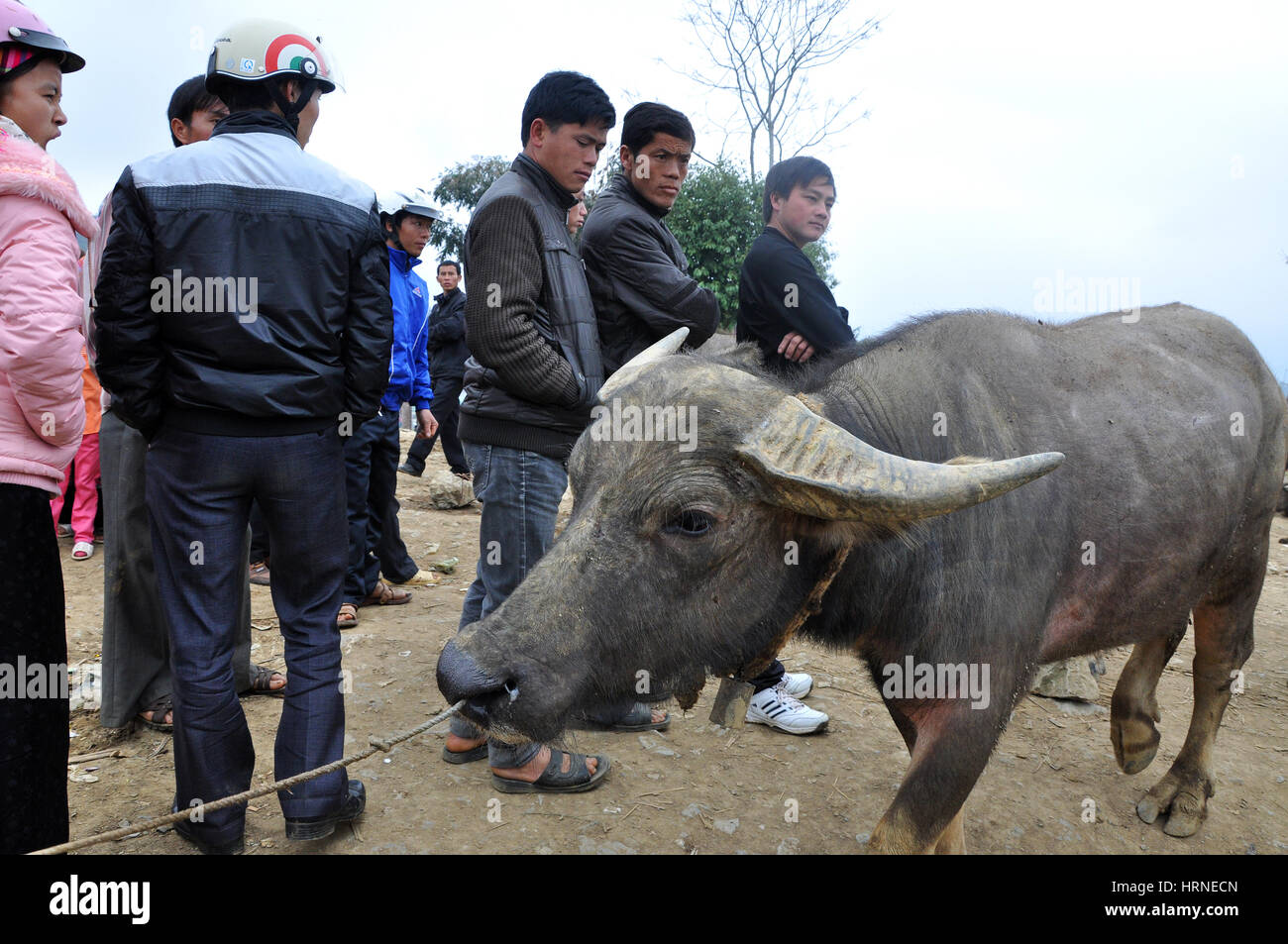 Hmong man in traditional costume hi-res stock photography and images ...
