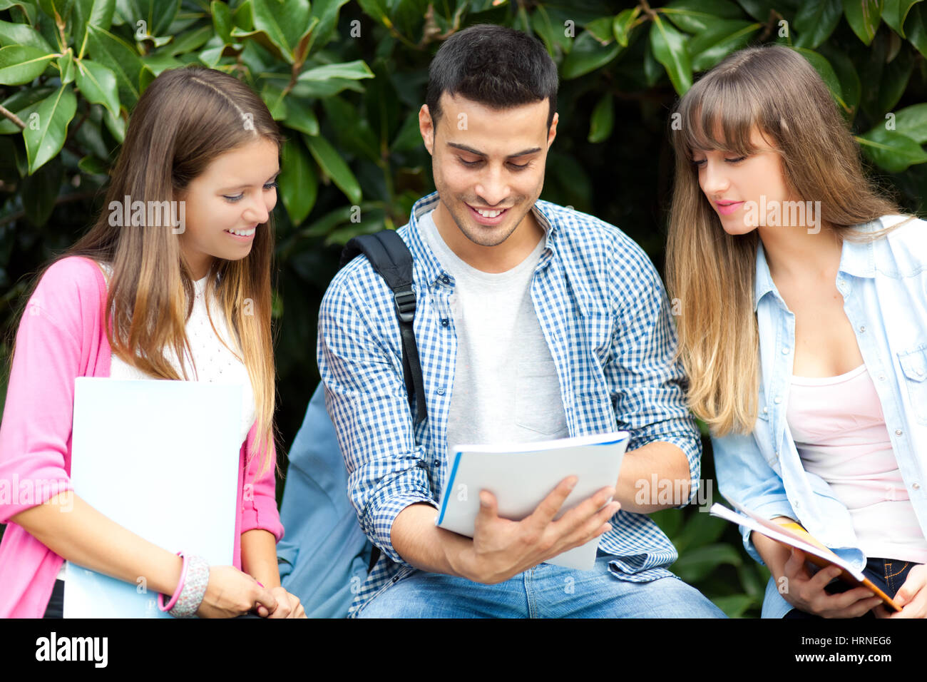 Students group at the park Stock Photo - Alamy
