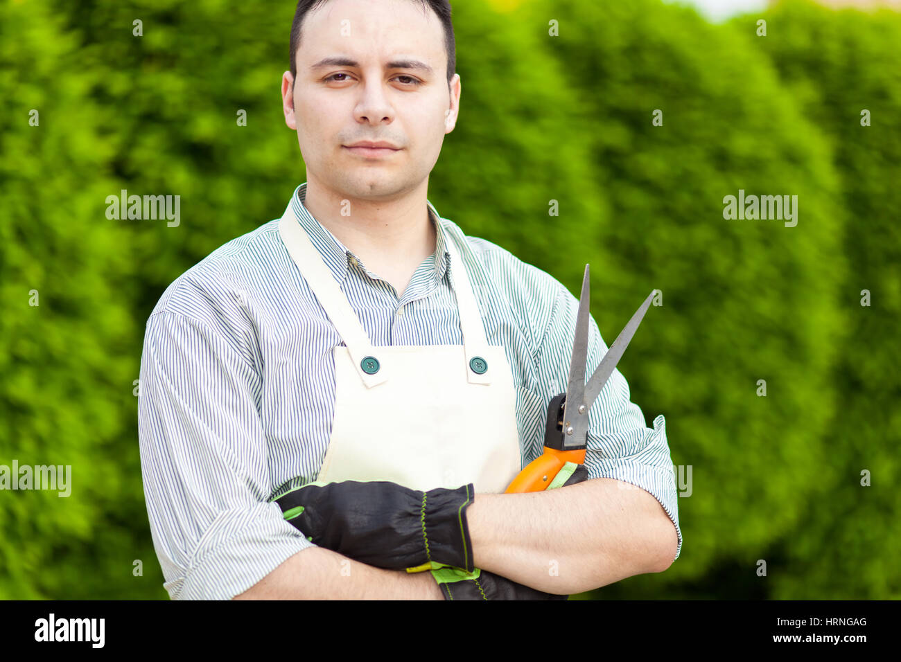Portrait of a professional gardener Stock Photo - Alamy
