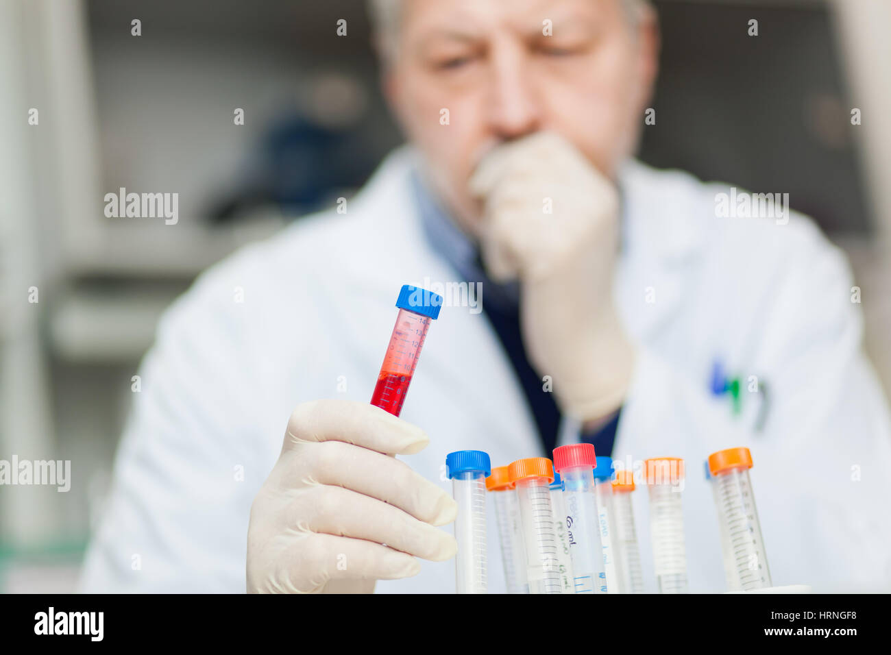 Scientist examining a test tube Stock Photo - Alamy