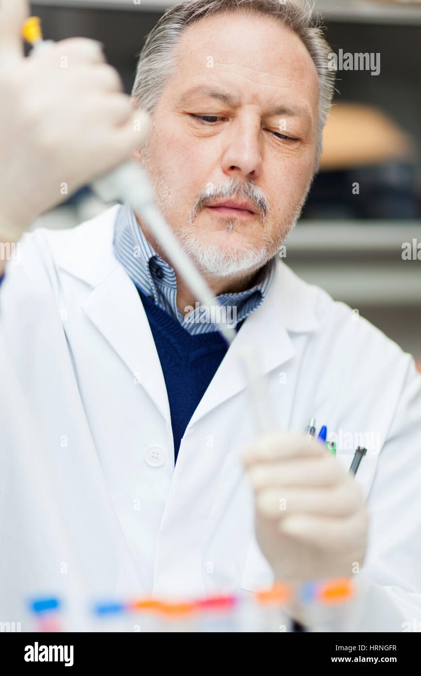 Male researcher working in a laboratory Stock Photo - Alamy