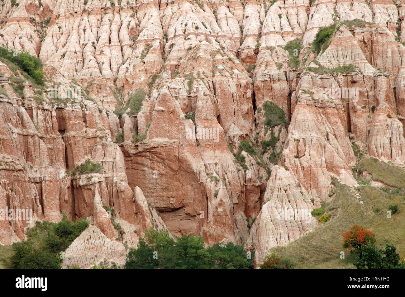 Geological reserve. The ravine of Rapa Rosie, Romania Stock Photo - Alamy