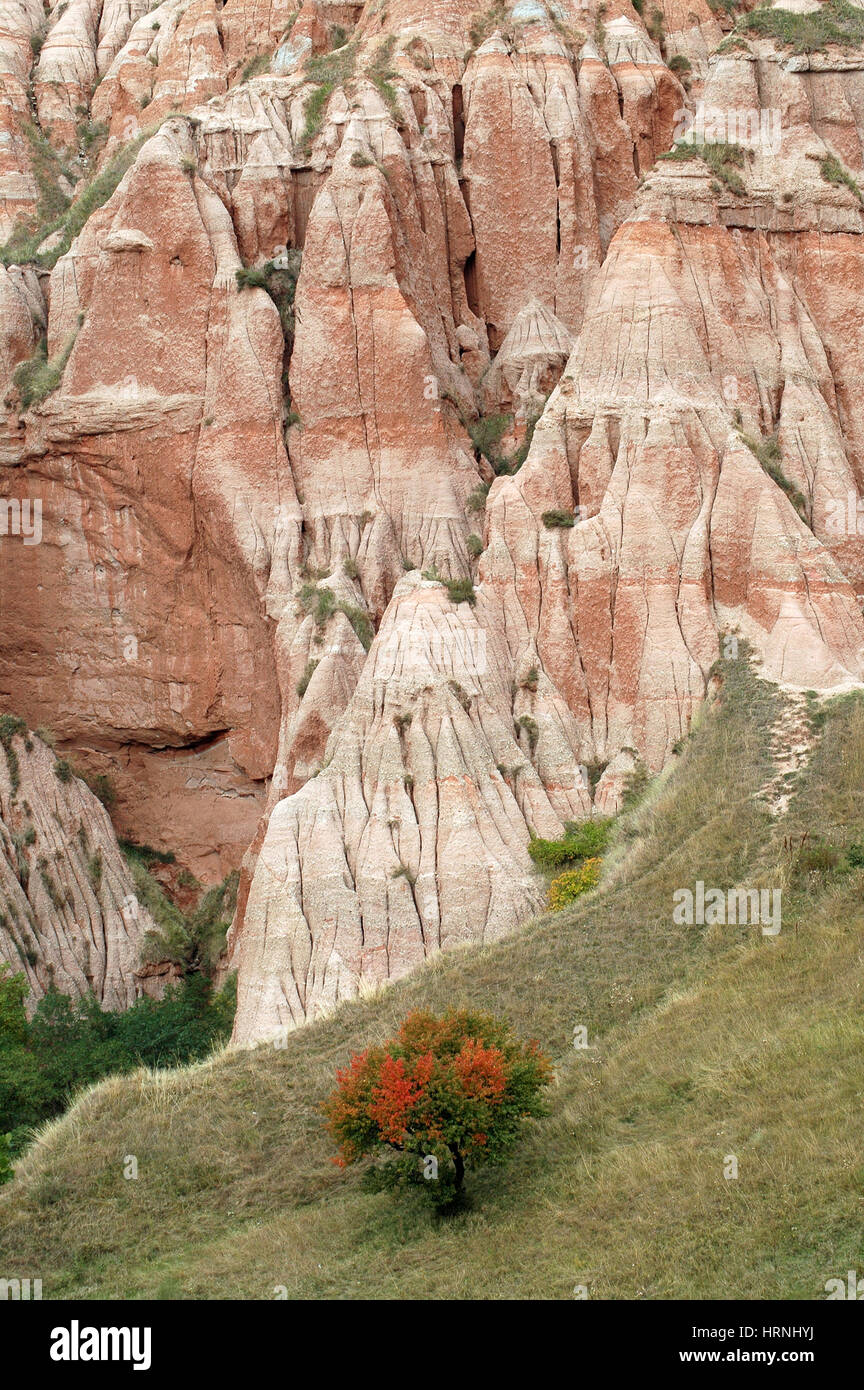 Geological reserve. The ravine of Rapa Rosie, Romania Stock Photo - Alamy