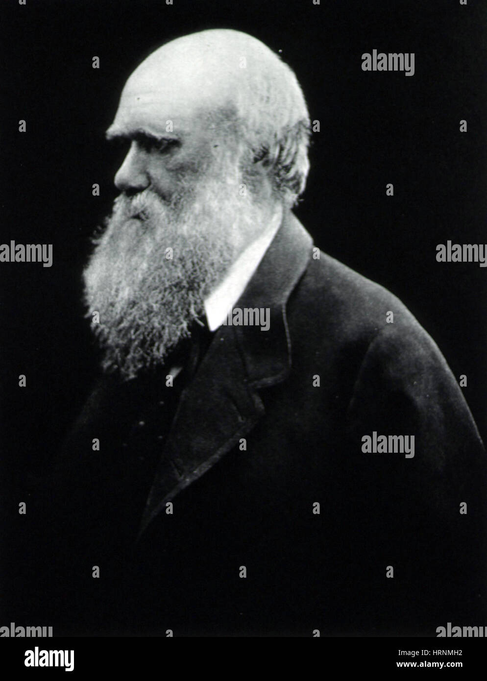 Charles Robert Darwin, English Naturalist Stock Photo - Alamy