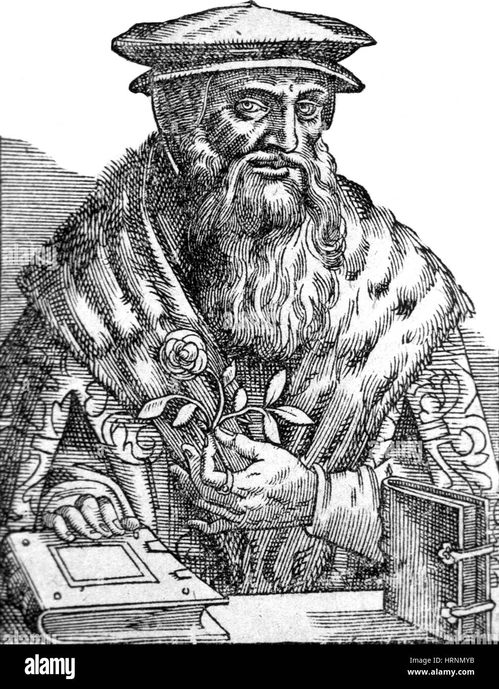 German botanist hi-res stock photography and images - Alamy