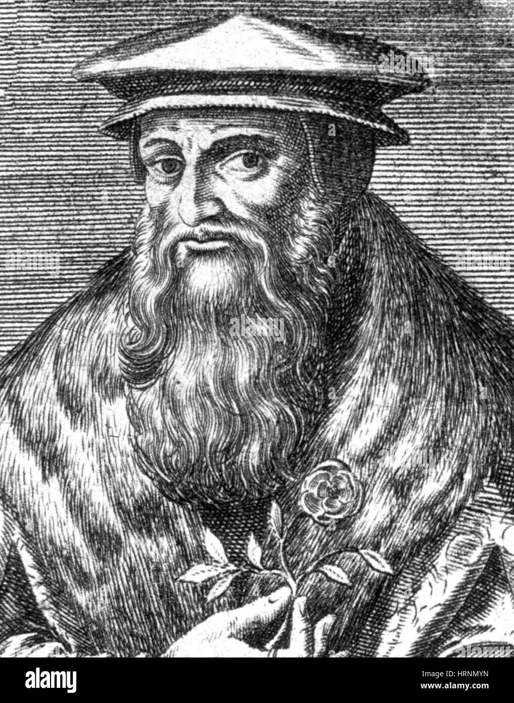 Leonhart Fuchs, German Botanist Stock Photo - Alamy