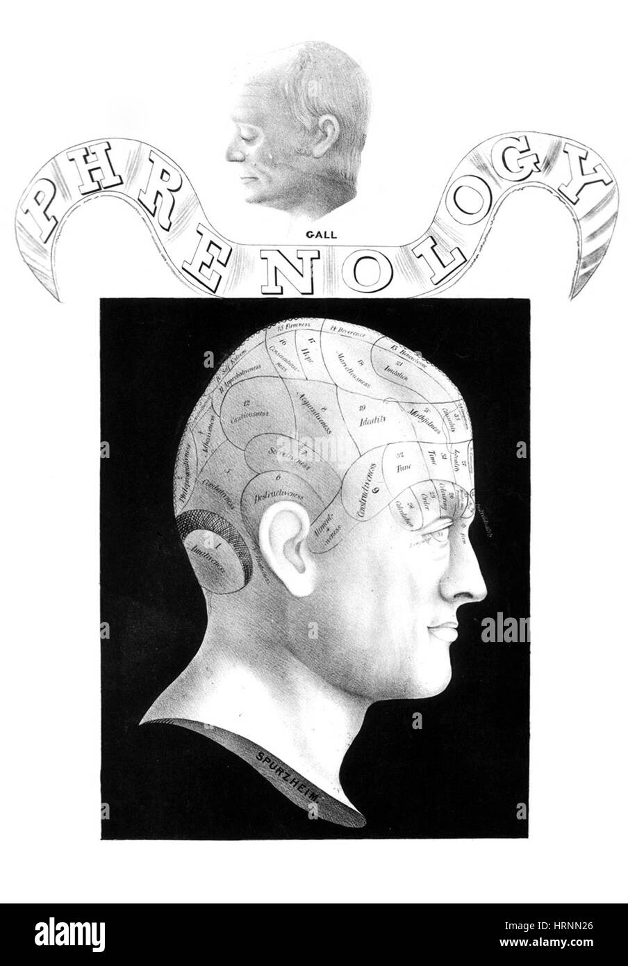 Franz joseph gall phrenology hi-res stock photography and images - Alamy