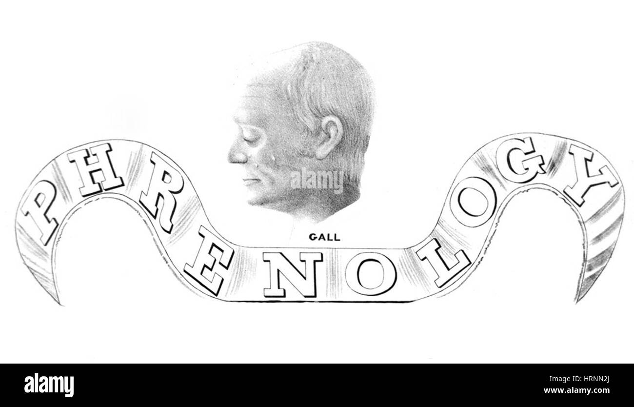 German neuroanatomist hi-res stock photography and images - Alamy