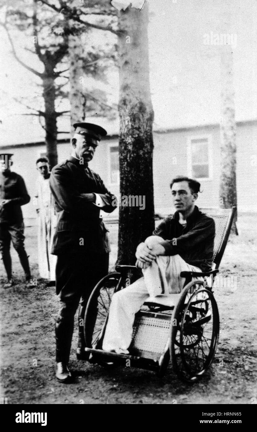 Yellow william Black and White Stock Photos & Images - Alamy