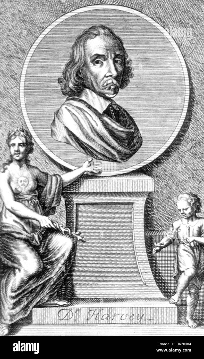 William harvey anatomy hi-res stock photography and images - Alamy