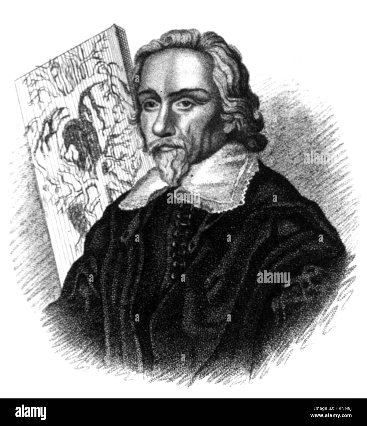 William harvey hi-res stock photography and images - Alamy