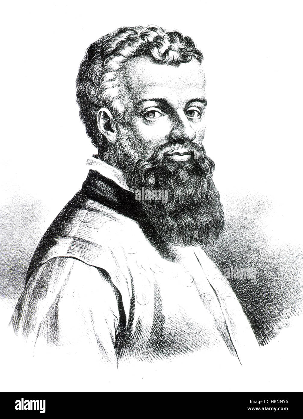 Dibujos De Andreas Vesalius