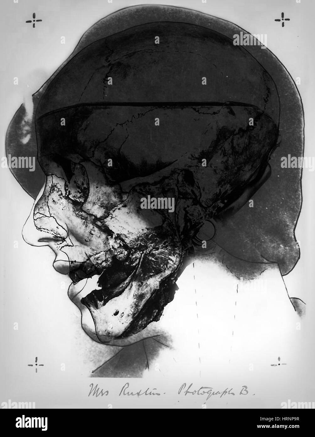 Buck ruxton hi-res stock photography and images - Alamy