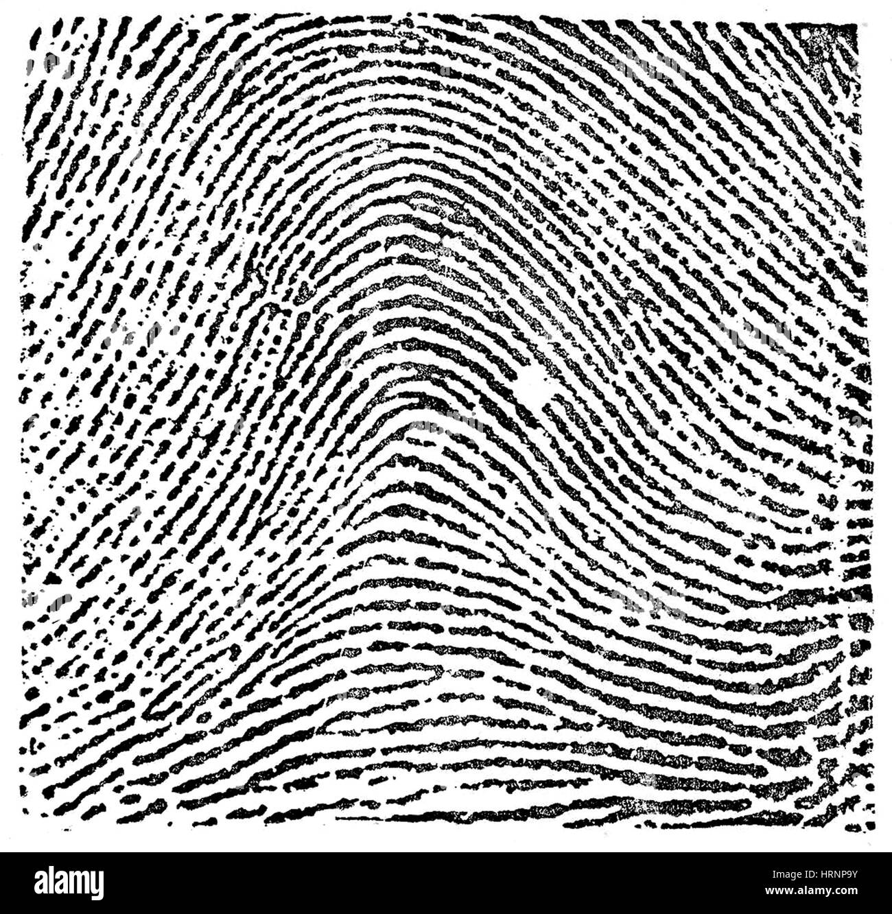 Typical Arch Pattern, 1900 Stock Photo - Alamy