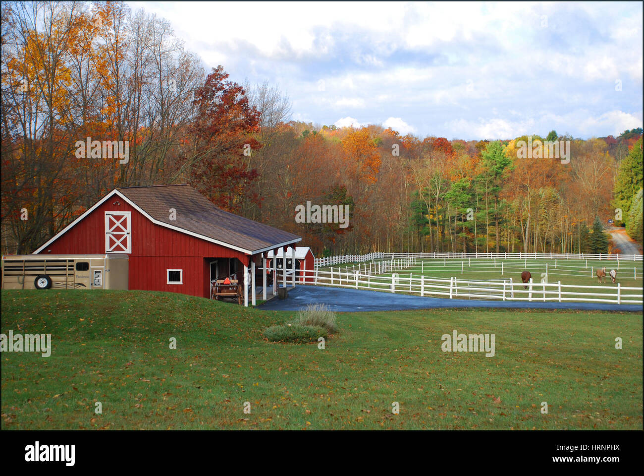 Cows And Red Barn High Resolution Stock Photography and Images - Alamy