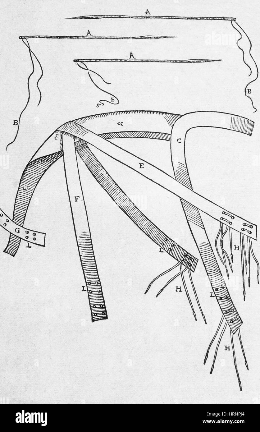 Nose job bandage hi-res stock photography and images - Alamy