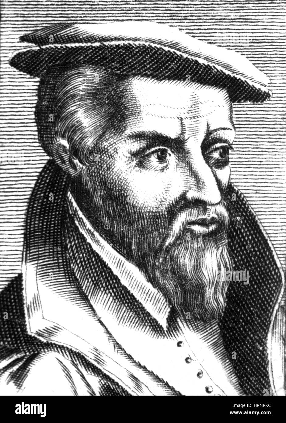 Georgius Agricola, German Scholar and Father of Mineralogy Stock Photo ...
