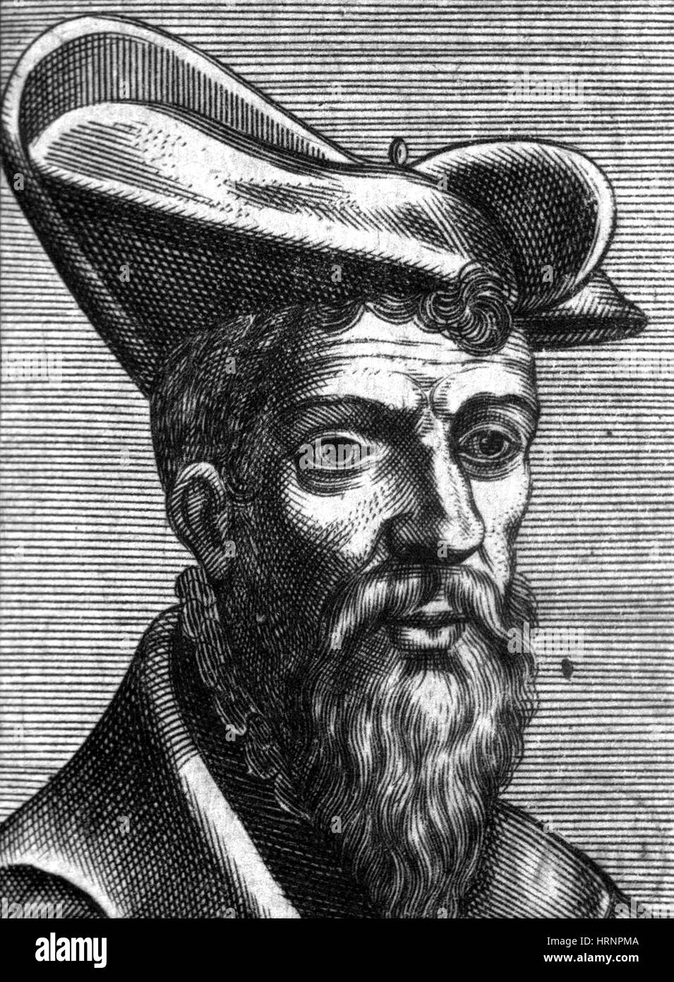 Belon Stock Photos & Belon Stock Images - Alamy