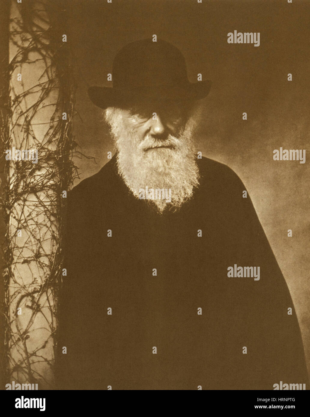 Charles Darwin, English Naturalist, 1881 Stock Photo - Alamy