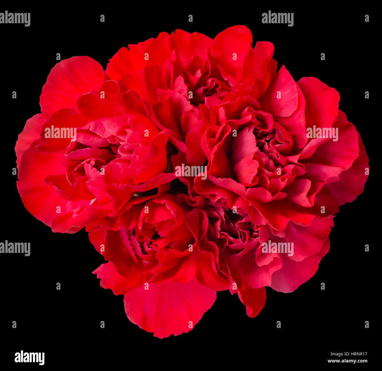 Bunched up hi-res stock photography and images - Alamy