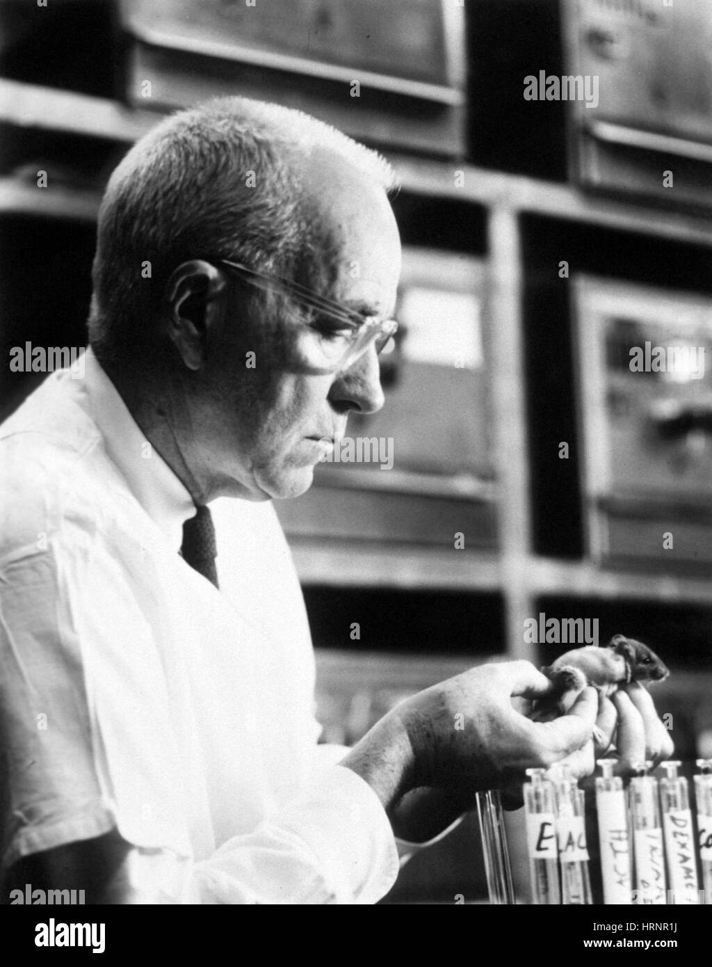 Charles huggins hi-res stock photography and images - Alamy