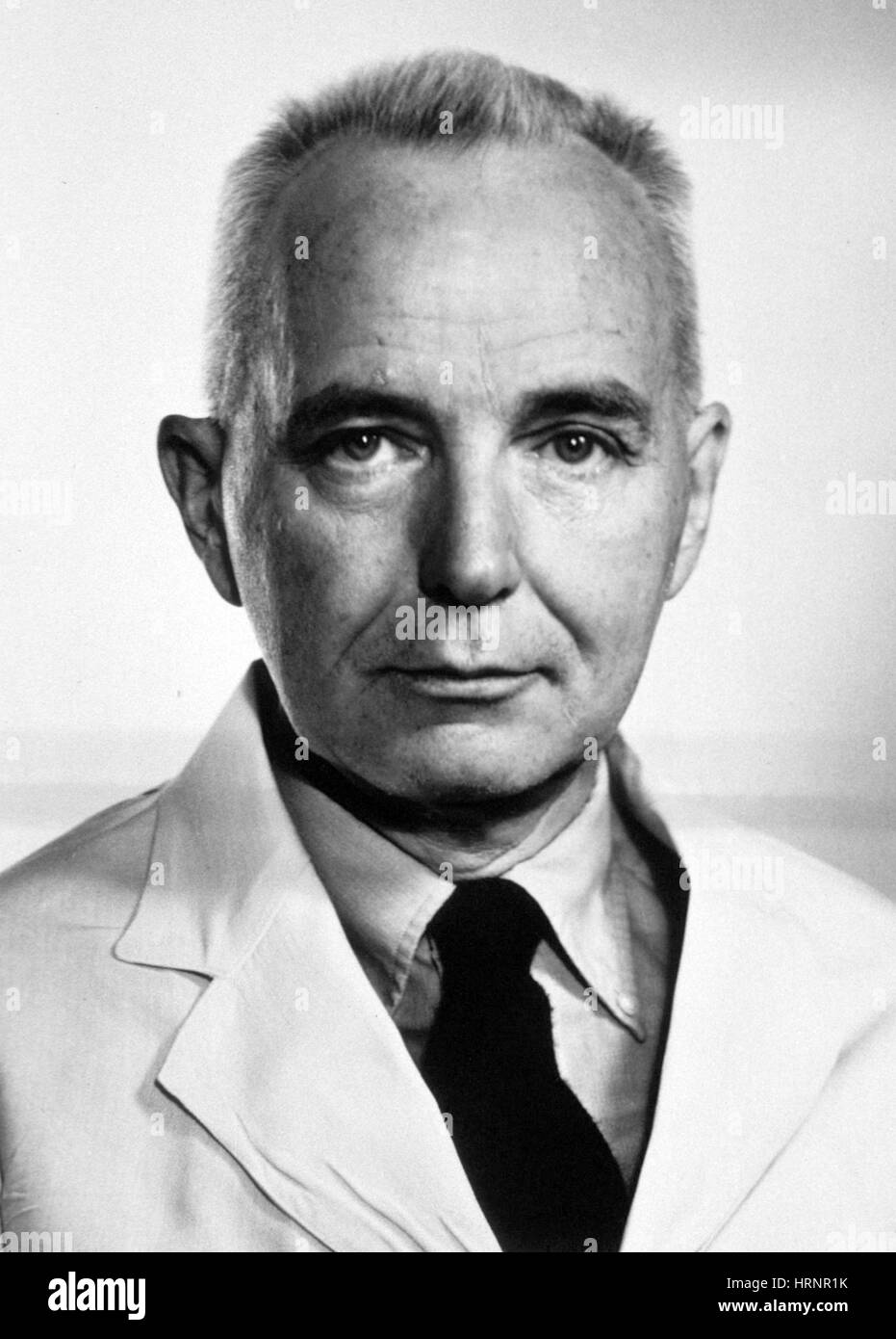 Amy Huggins's Instagram, Twitter & Facebook on IDCrawl