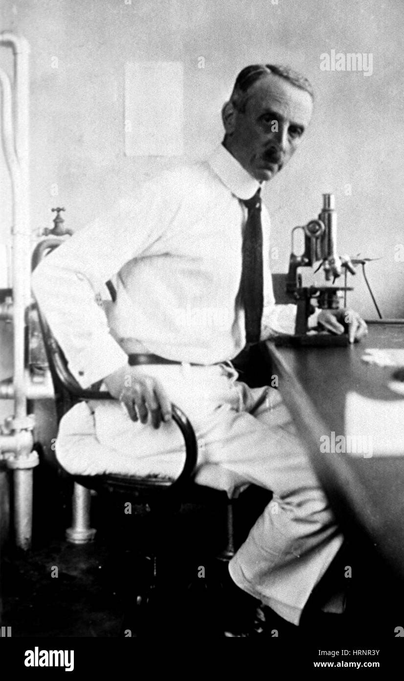 Leo Loeb, German-American Pathologist Stock Photo - Alamy