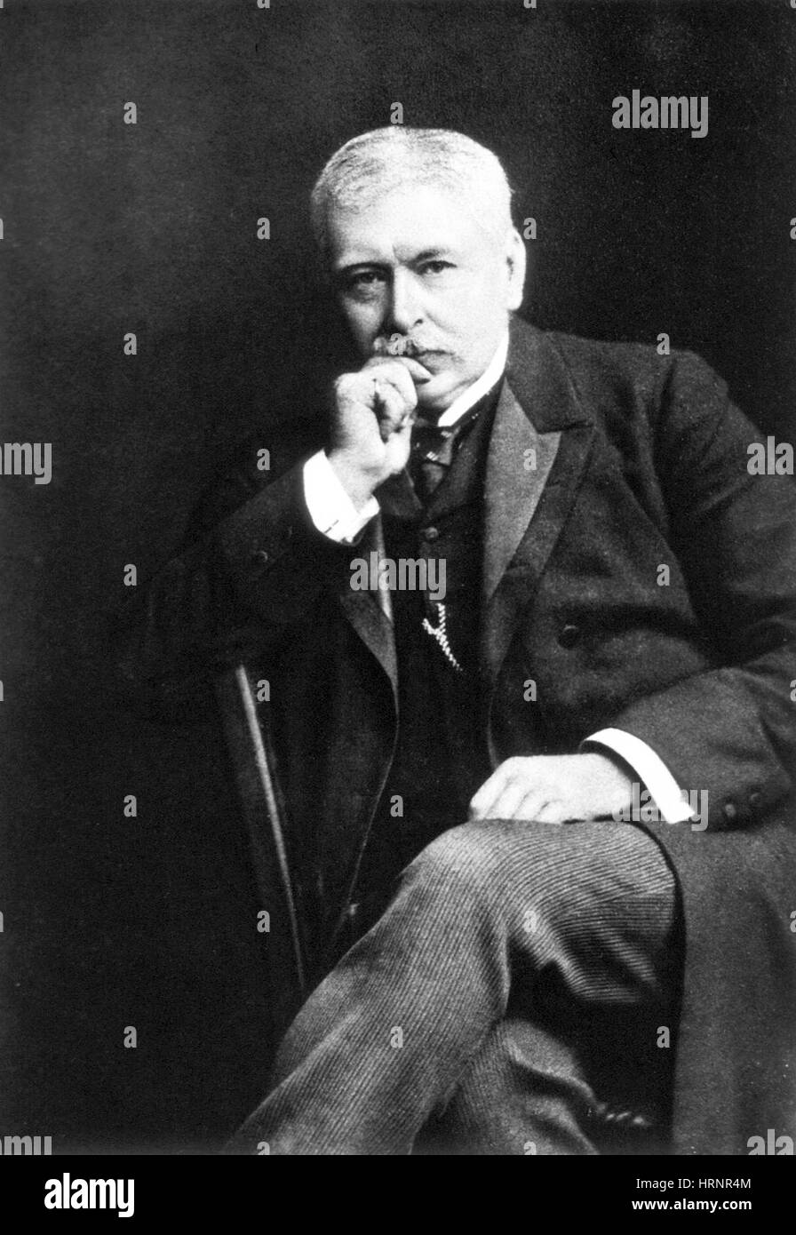 Life cycle of mosquitoes hi-res stock photography and images - Alamy