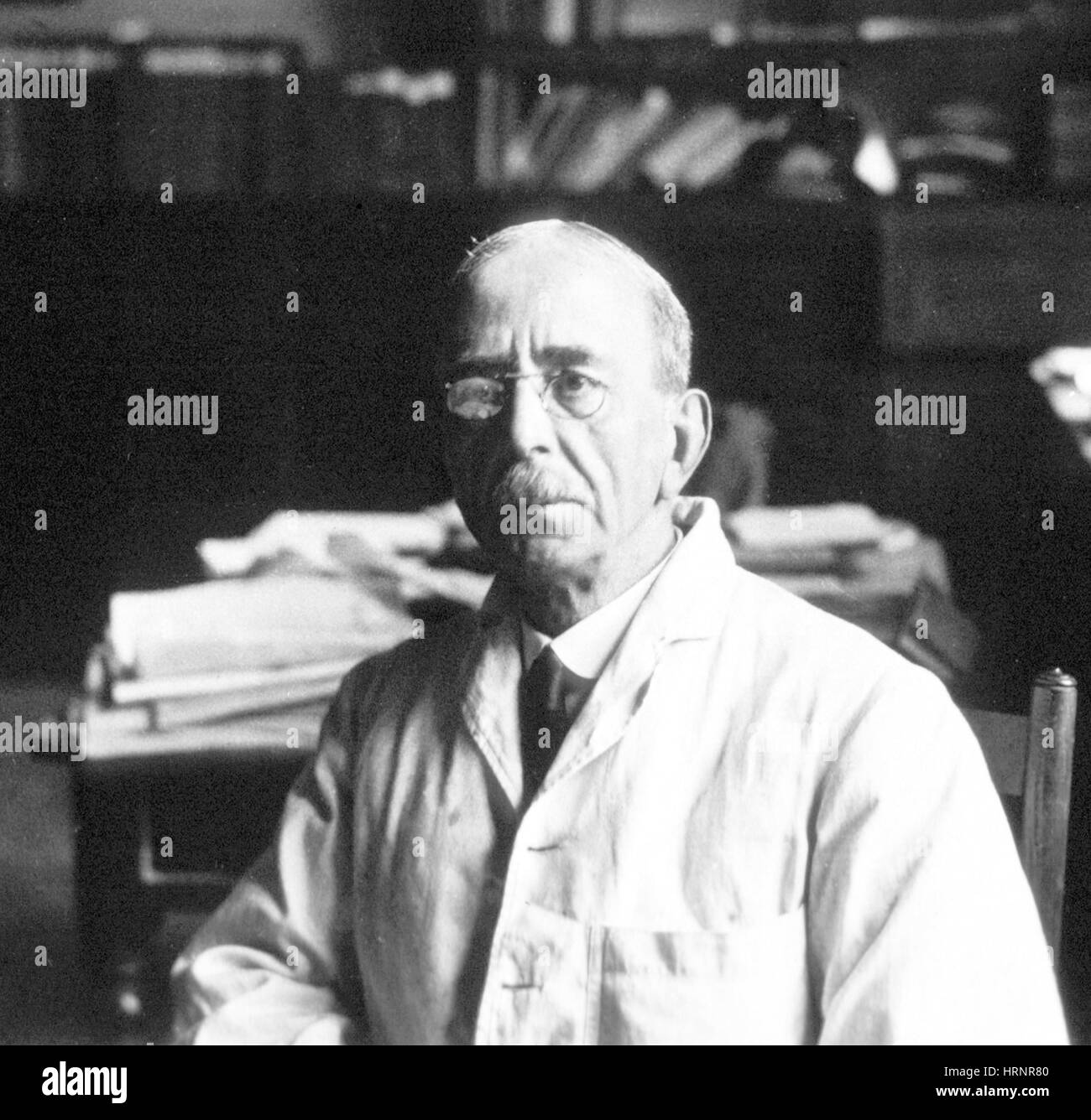 Mapped the sensory dermatomes hi-res stock photography and images - Alamy