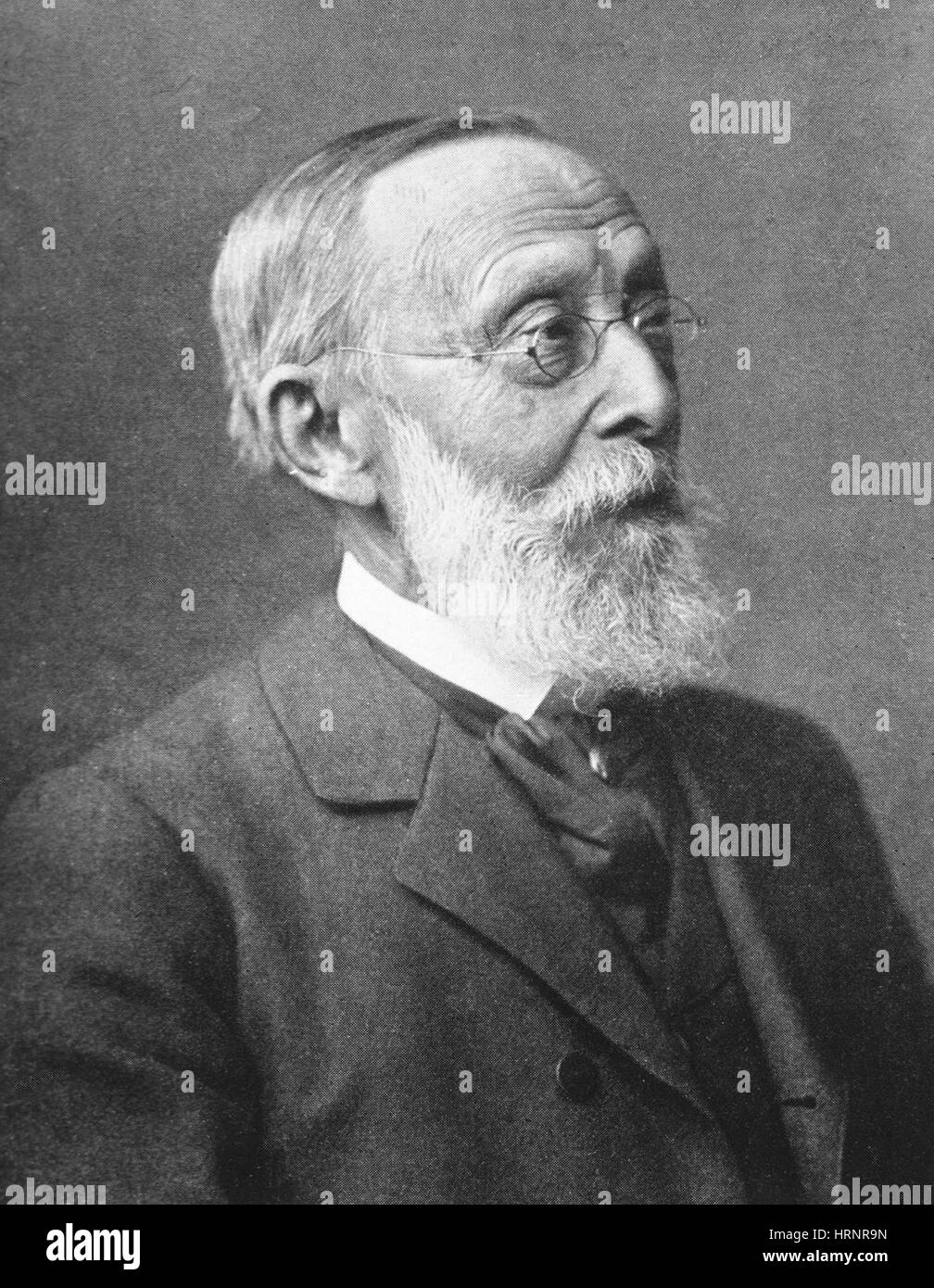 Rudolph Virchow, German Polymath Stock Photo - Alamy