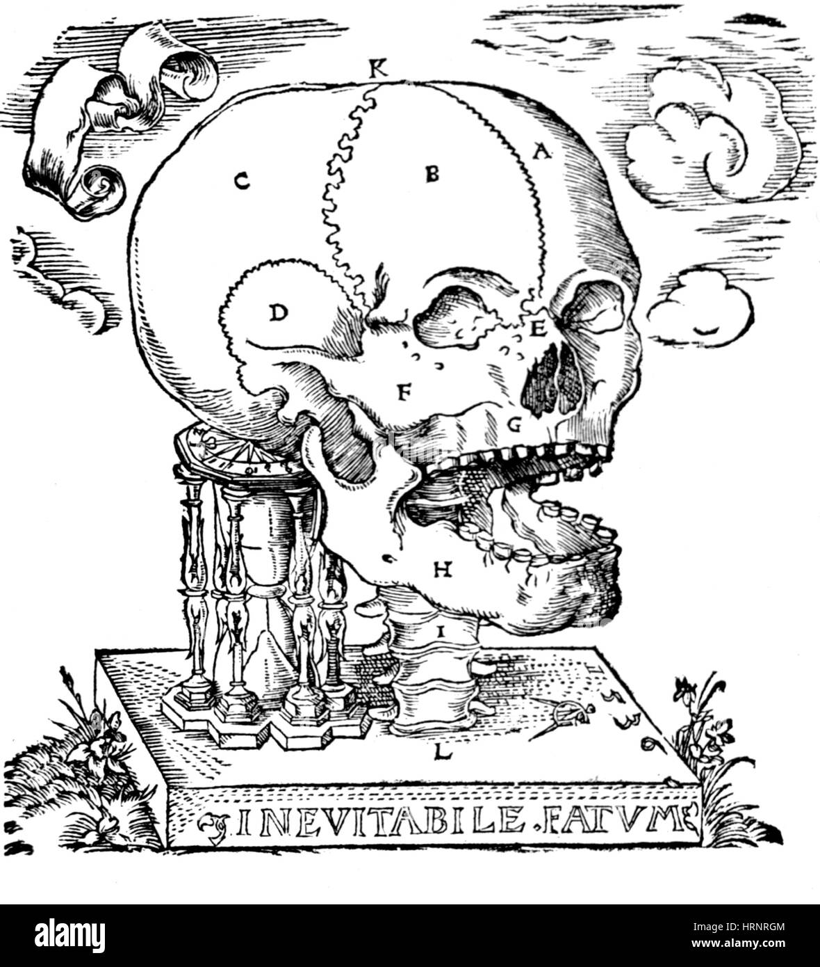 1537 hi-res stock photography and images - Alamy