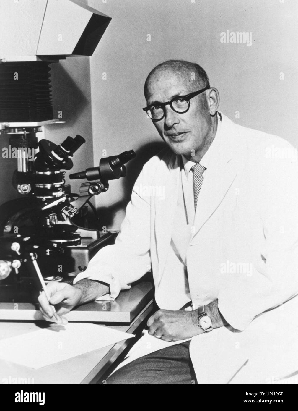 Lawrie hi-res stock photography and images - Alamy