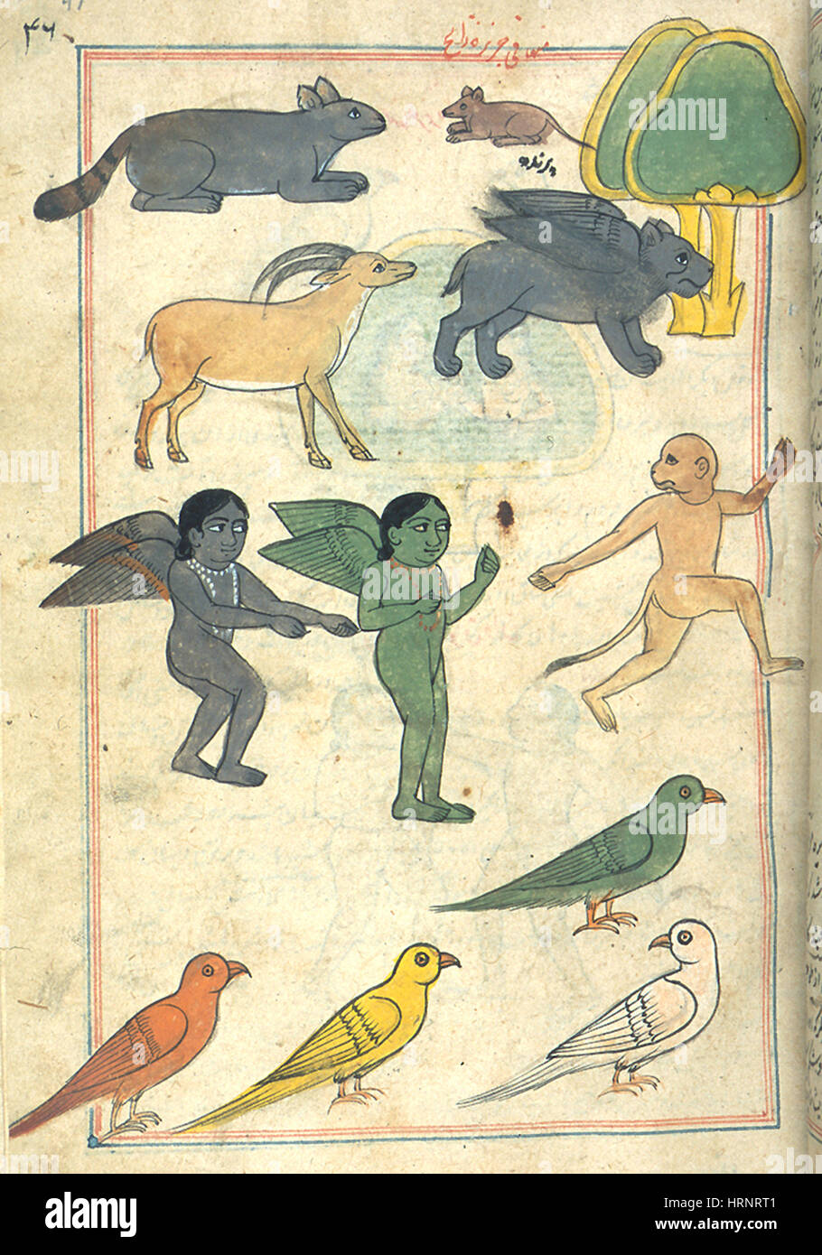 Creatures from the Island of Zanj, 17th Century Stock Photo - Alamy