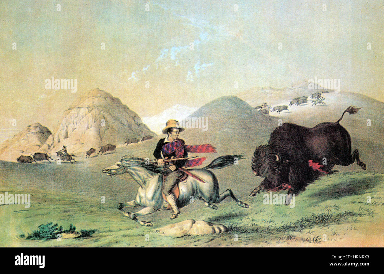 Buffalo hunting 19th century hi-res stock photography and images - Alamy