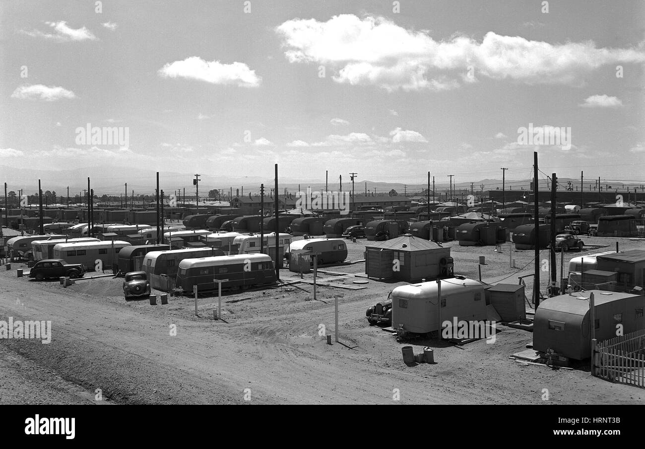 Y project Black and White Stock Photos & Images - Alamy