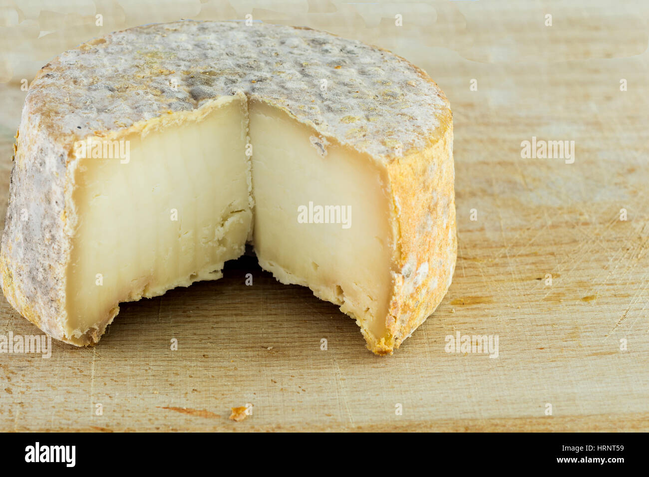 The form of hard cheese of a bloomy rind goat's milk, frost crust ...