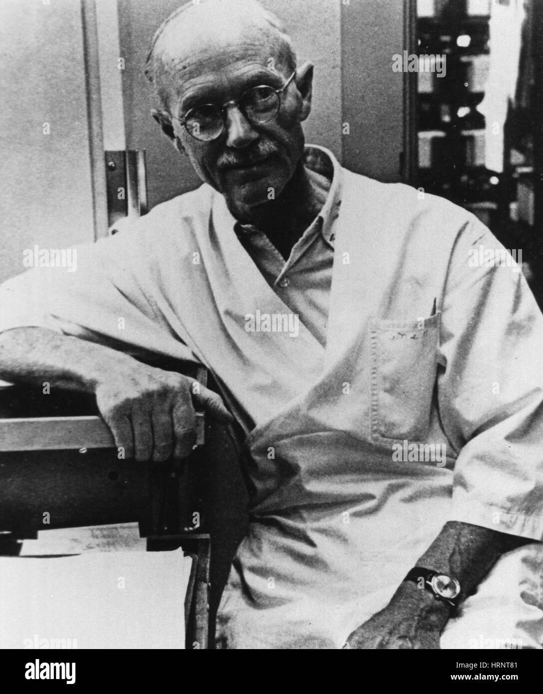 Snell hi-res stock photography and images - Alamy