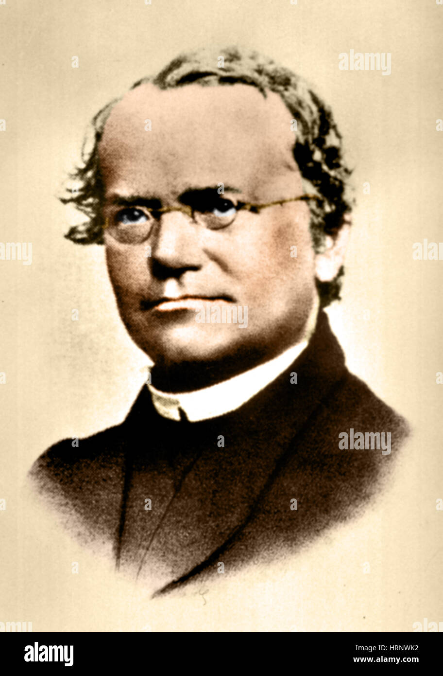 Laws of inheritance mendel hi-res stock photography and images - Alamy