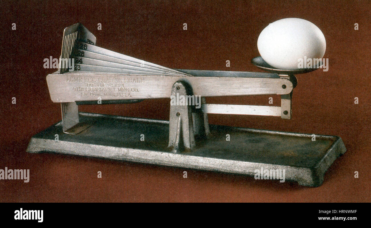 Acme Egg Grading Scale, 1924 Stock Photo - Alamy